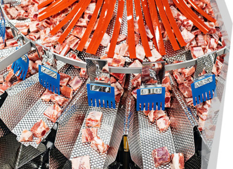 Red Meat Processing Solutions | Equipment | SF Engineering