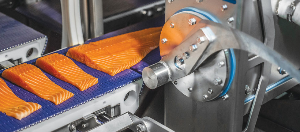 The Rise Of Pre-Packed Fish | Intelligent Portioning | SF Engineering