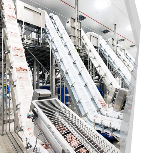 Poultry Processing Solutions | Increase Throughput | SF Engineering