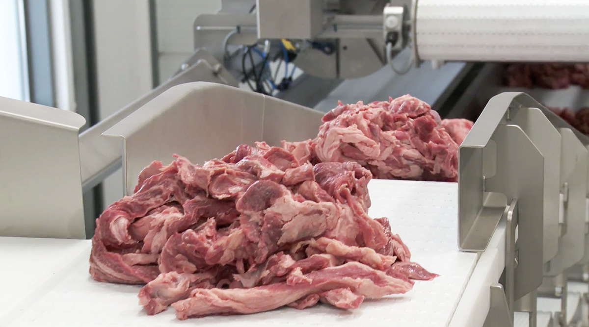 Red Meat Processing Solutions | Equipment | SF Engineering