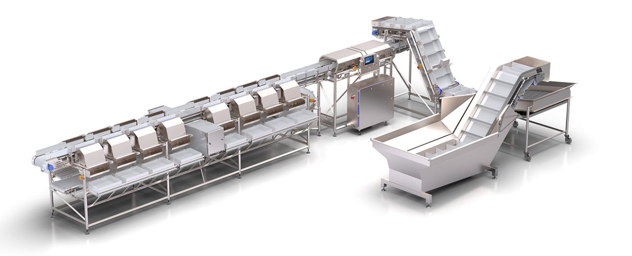 Fish Processing Solutions | Minimise Waste | SF Engineering