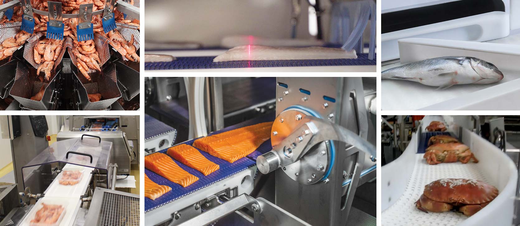 Fish Industry Resources - SF Engineering