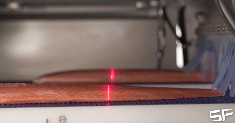 Portion Cutter Buying Guide for White Fish and Salmon Processors - SF ...