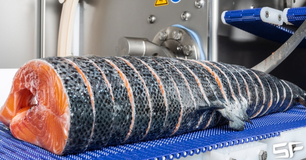 Portion Cutter Buying Guide for White Fish and Salmon Processors - SF ...